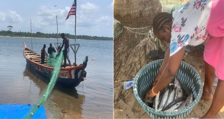 Fermented Fish Ban In Liberia, A Raw Deal For Fishers? – TLC Africa